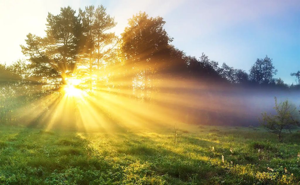 20 interesting facts about light ᐈ 💡 MillionFacts 🌵