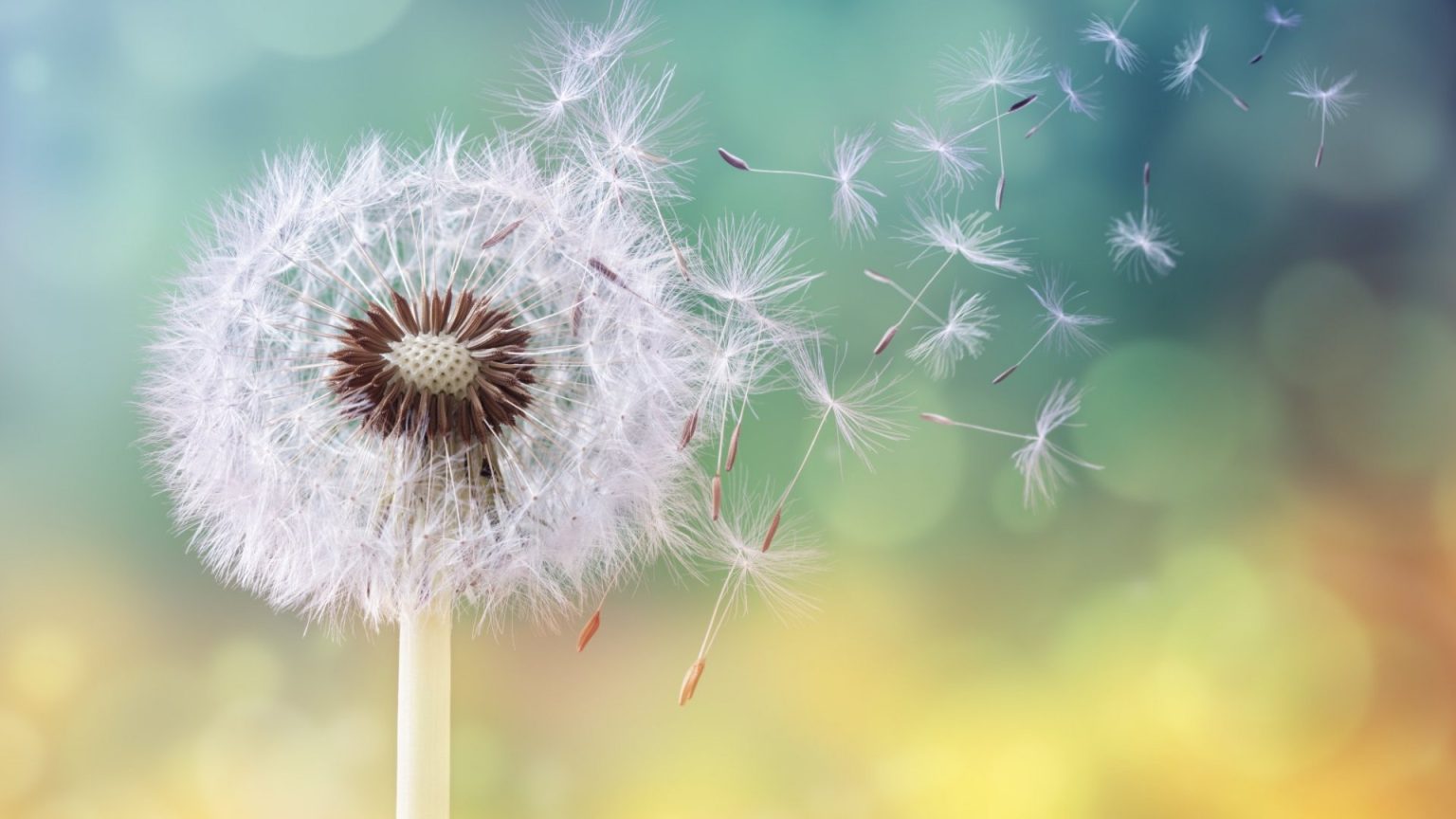 45 interesting facts about life ᐈ 💡 MillionFacts 🌵