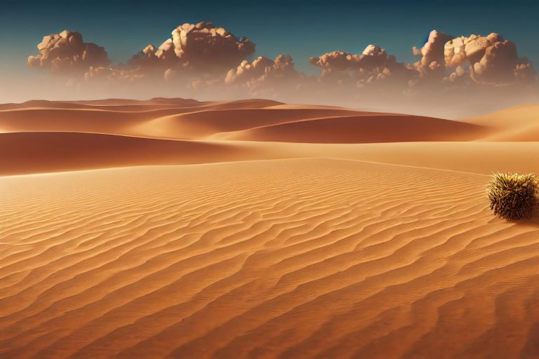 44 interesting facts about desert ᐈ 💡 MillionFacts 🌵