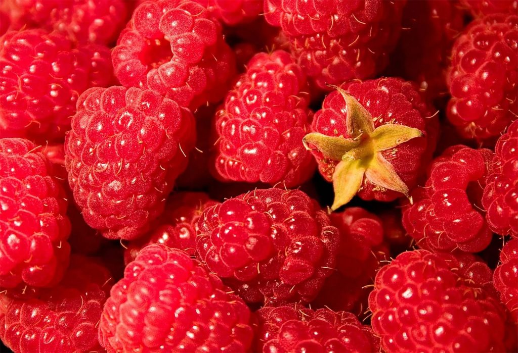 34 interesting facts about Raspberry ᐈ 💡 MillionFacts 🌵
