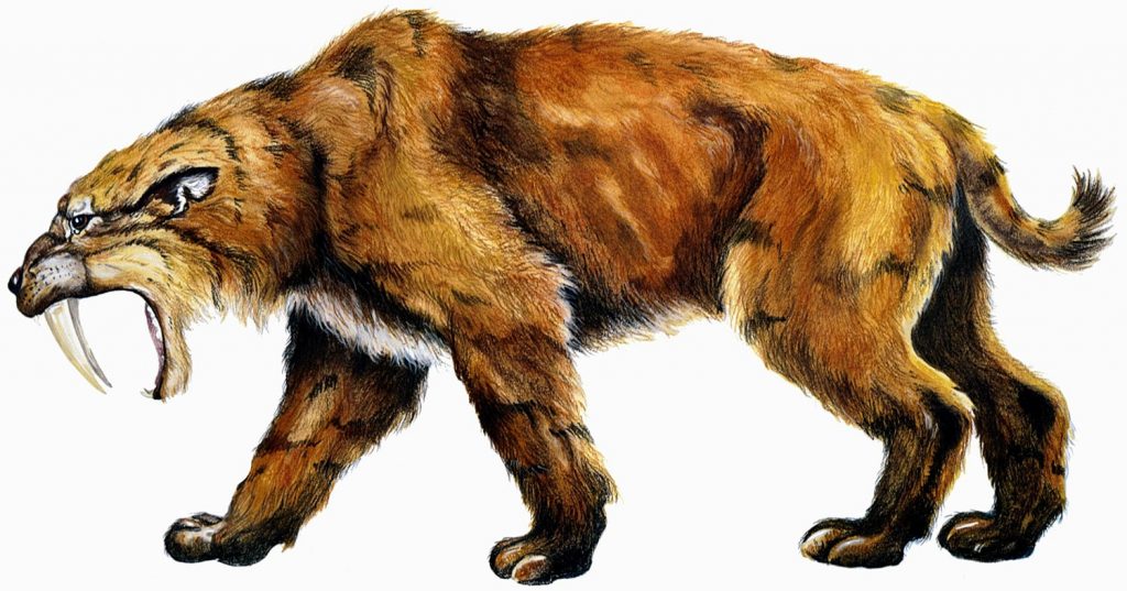 17 interesting facts about Megatherium (Giant Ground Sloth) ᐈ 💡 ...