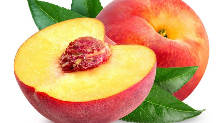 34 interesting facts about muffins ᐈ 💡 MillionFacts 🌵