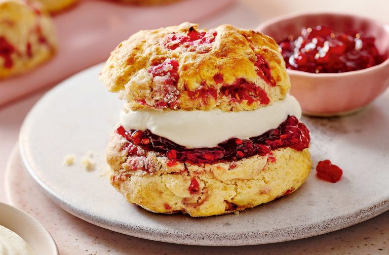 35 interesting facts about scones ᐈ 💡 MillionFacts 🌵