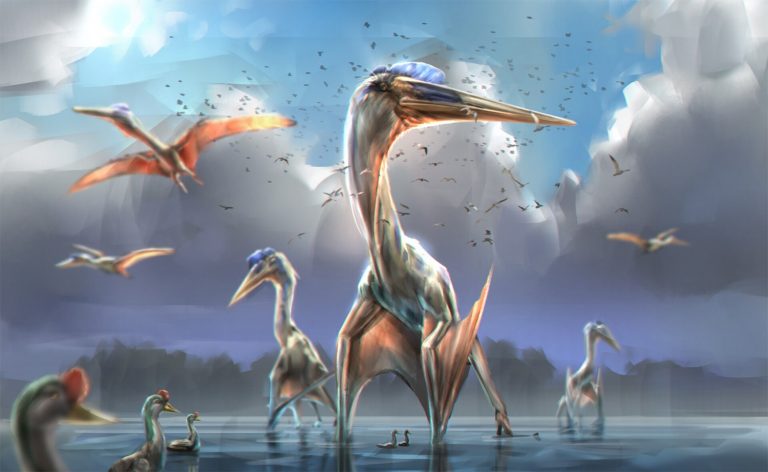 29 interesting facts about Quetzalcoatlus ᐈ 💡 MillionFacts 🌵